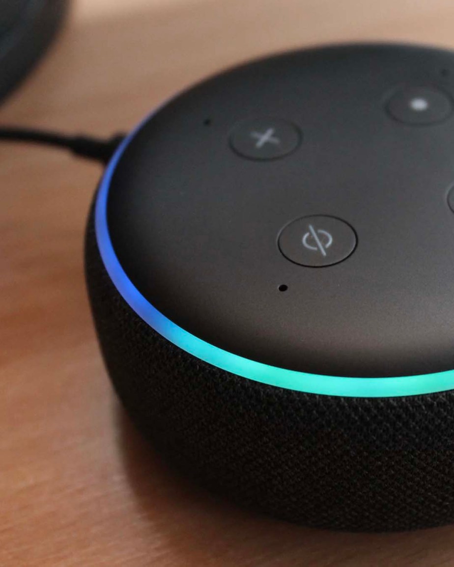 ¡Descubre si Alexa puede viajar contigo en el equipaje de mano o ...