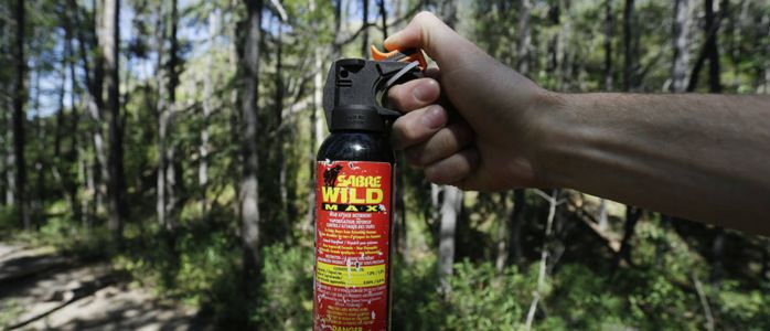 ¡Descubre si es legal llevar spray para osos en un avión! ¡No te ...