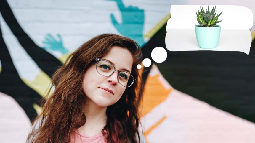 "Descubre si es legal llevar un cactus en tu equipaje de mano en el ...