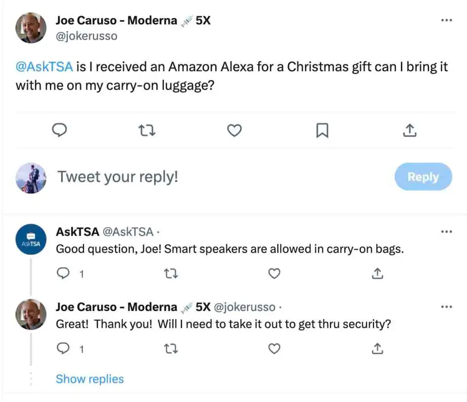 ¡Descubre si Alexa puede viajar contigo en el equipaje de mano o ...