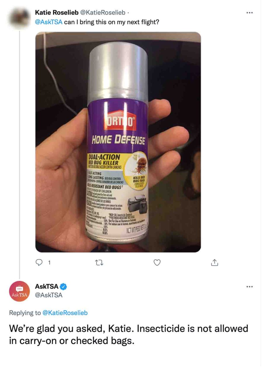 ¡Descubre si podrás llevar repelente de insectos en un avión en 2024 o ...
